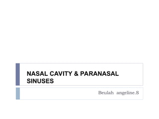 Anatomy of nose Part of ENT structure and it's well labelled | PPT