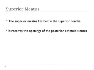 Anatomy of nose Part of ENT structure and it's well labelled | PPT