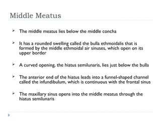 Anatomy of nose Part of ENT structure and it's well labelled | PPT