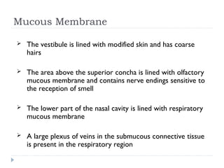 Anatomy of nose Part of ENT structure and it's well labelled | PPT