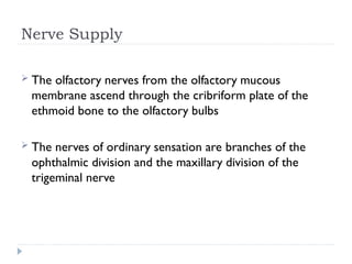 Anatomy of nose Part of ENT structure and it's well labelled | PPT