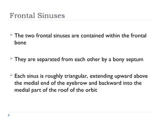 Anatomy of nose Part of ENT structure and it's well labelled | PPT