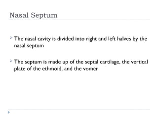 Anatomy of nose Part of ENT structure and it's well labelled | PPT