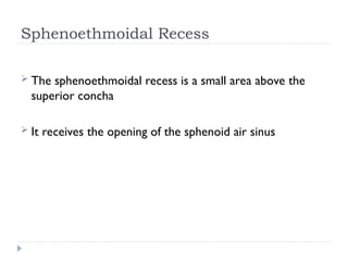 Anatomy of nose Part of ENT structure and it's well labelled | PPT