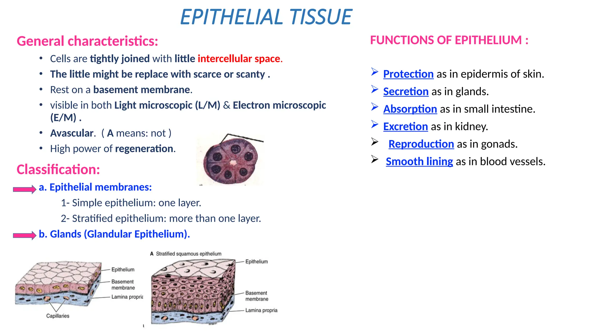 1. Histology Epithelial tissues university of health science.pptx