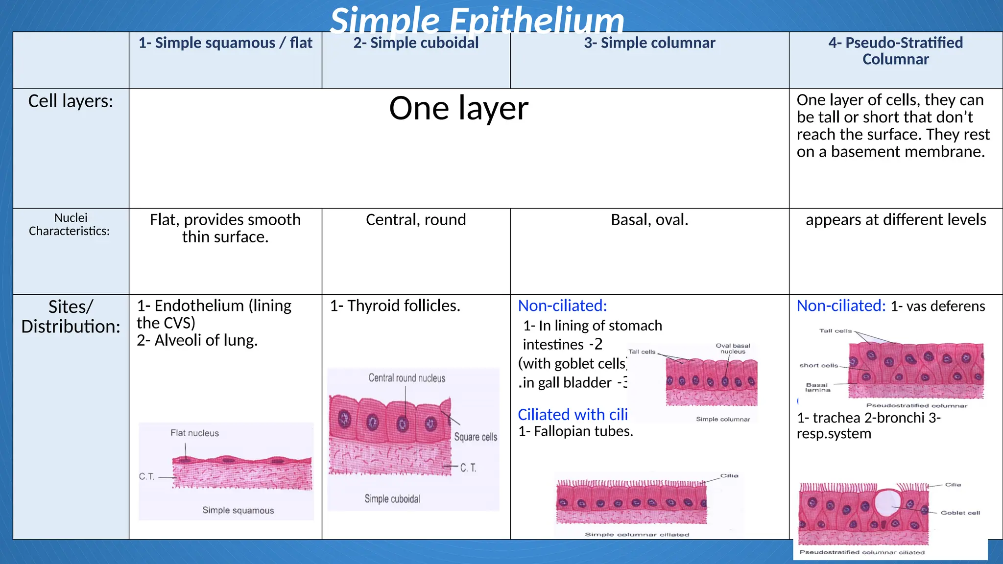 1. Histology Epithelial tissues university of health science.pptx