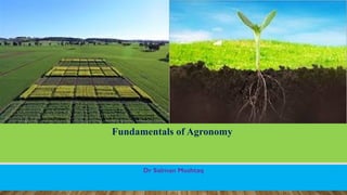 Introduction to Agriculture, intro to agronomy and what is a crop and ...