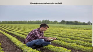 Introduction to Agriculture, intro to agronomy and what is a crop and ...