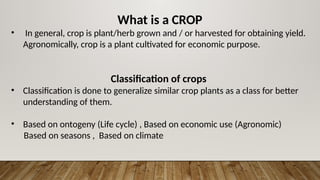 Introduction to Agriculture, intro to agronomy and what is a crop and ...