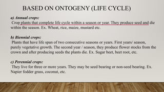 Introduction to Agriculture, intro to agronomy and what is a crop and ...