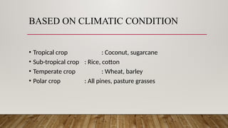 Introduction to Agriculture, intro to agronomy and what is a crop and ...