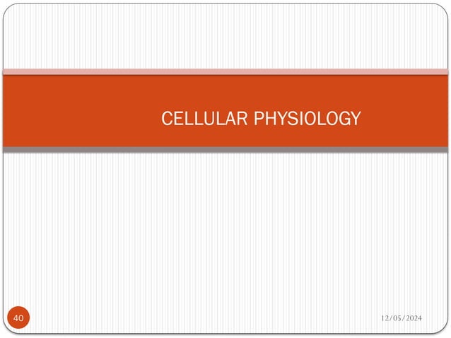 Introduction to physiology power point.pptx