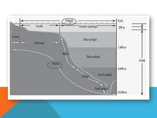 ZONASI LAUT (materi biologi laut) prodi biologipptx | PPTX
