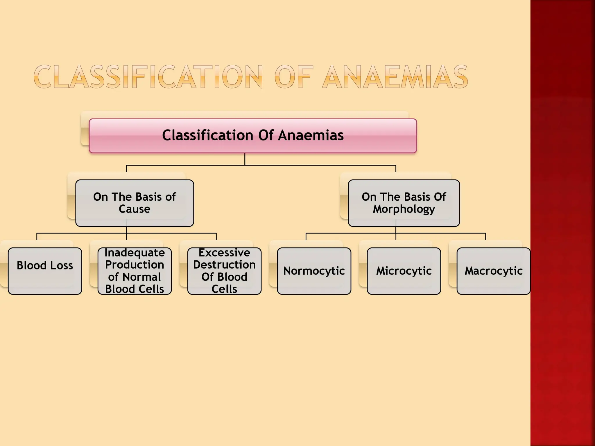 introduction to Anemia, classification.pptx