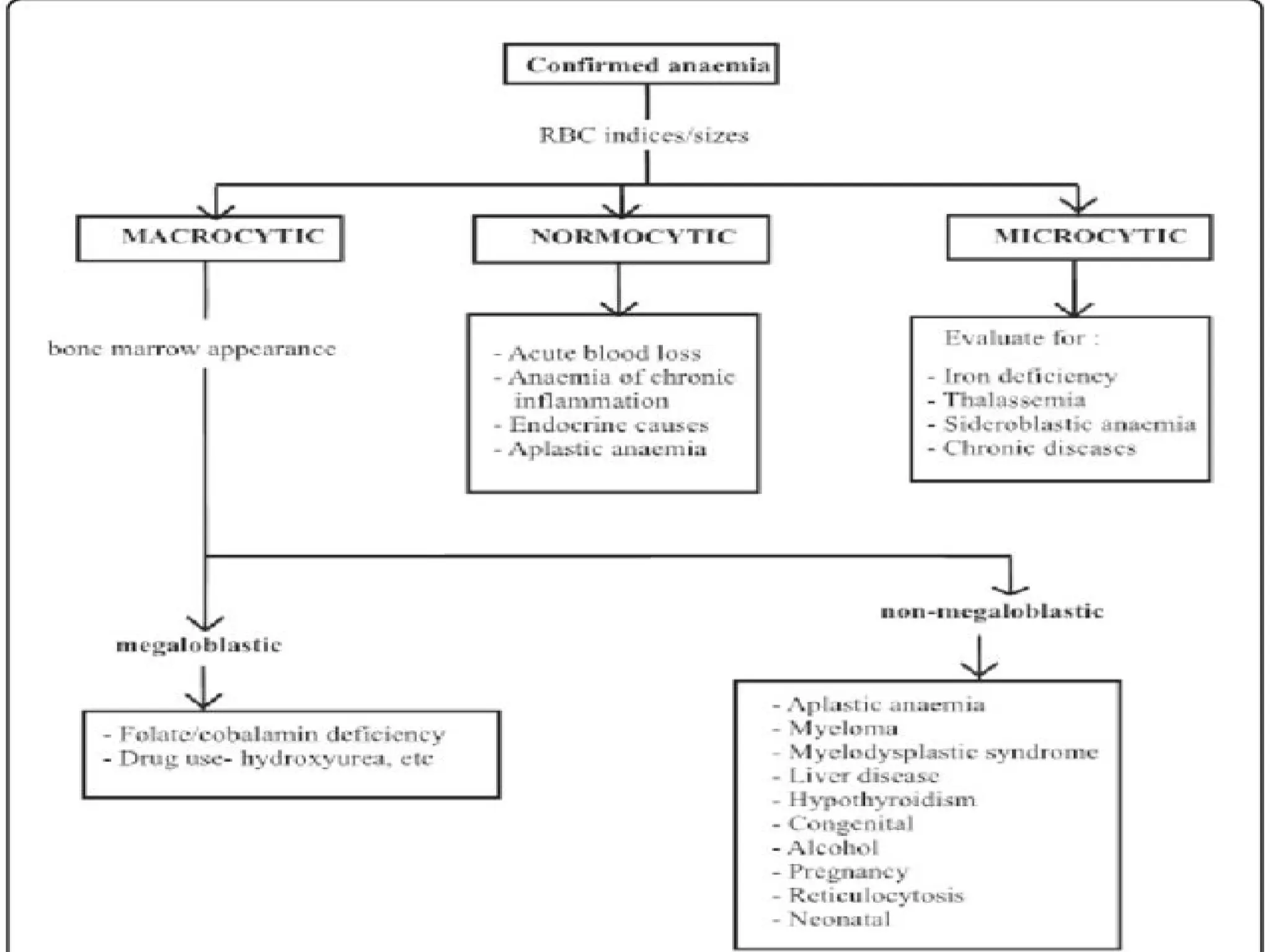 introduction to Anemia, classification.pptx