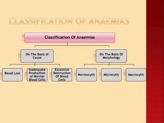 introduction to Anemia, classification.pptx