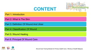 1. BASIC WOUND CARE PRINCIPLES 12.1.24.pptx