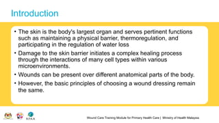 1. BASIC WOUND CARE PRINCIPLES 12.1.24.pptx