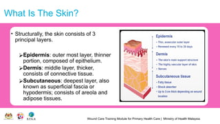 1. BASIC WOUND CARE PRINCIPLES 12.1.24.pptx