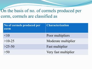 1. Cultivation Practice of Gladiolus.pptx