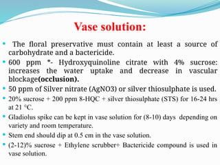 1. Cultivation Practice of Gladiolus.pptx