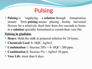 1. Cultivation Practice of Gladiolus.pptx
