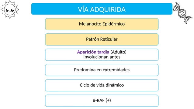 1. NEVOGENESIS Y DERMATOSCOPIA DE NEVO MELANOCITICO CONGENITO-JOSE ...
