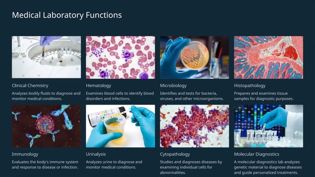 1.1 - Introduction to Medical Laboratory.pptx