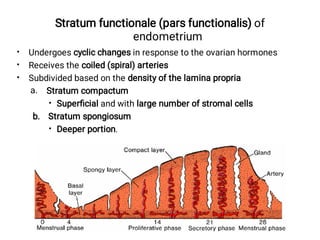 1. Introduction to Embryology is book of science | PDF