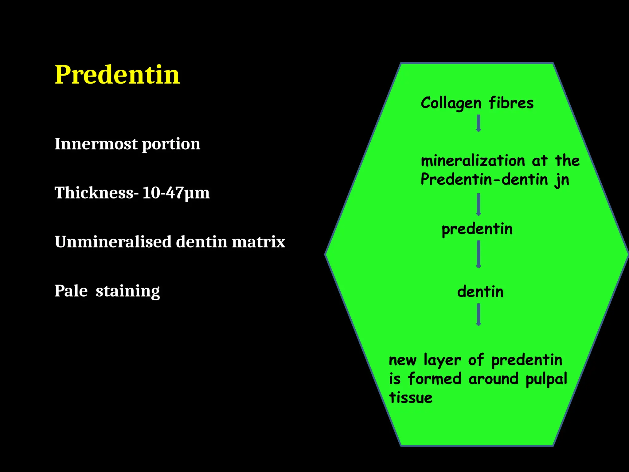 1. Dentin structure of toothtypes of dentin inter | PPTX