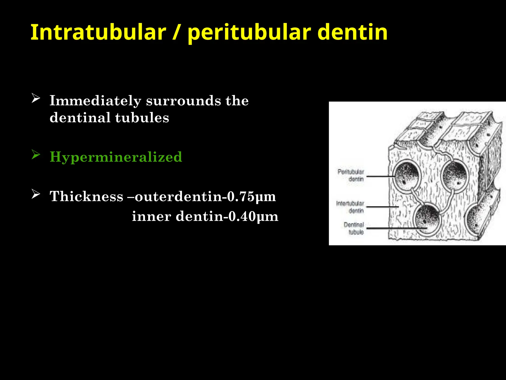 1 Dentin Structure Of Toothtypes Of Dentin Inter Ppt