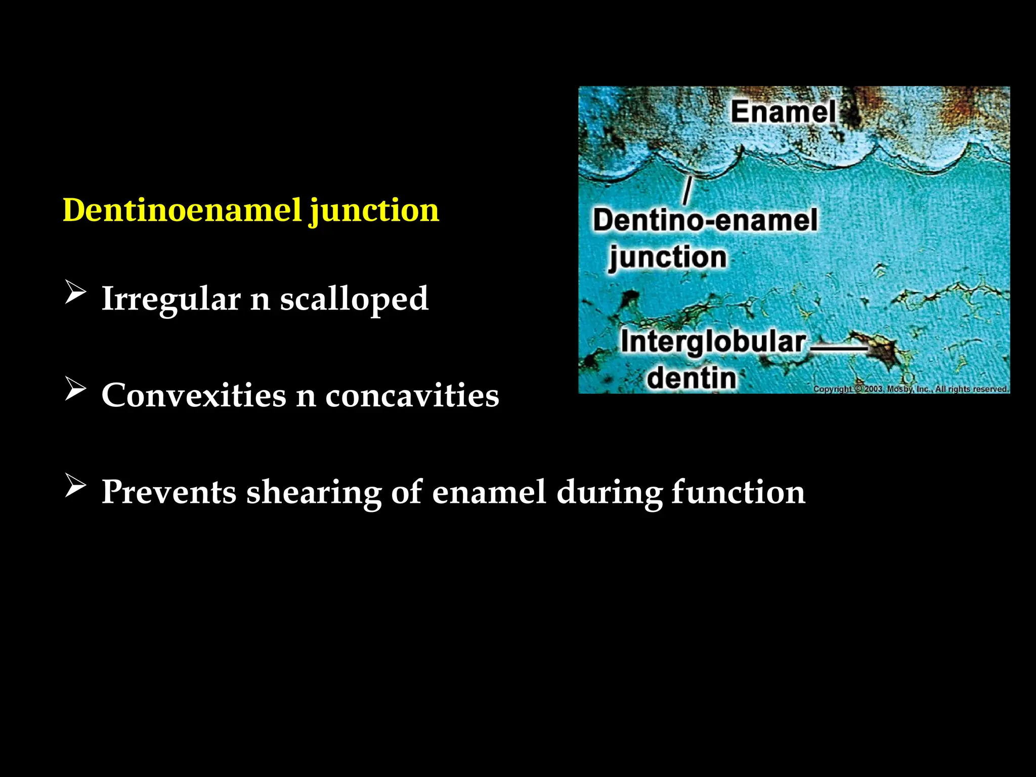 1. Dentin structure of toothtypes of dentin inter | PPTX