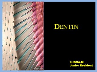 1. Dentin structure of toothtypes of dentin inter | PPTX