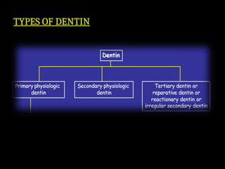 1. Dentin structure of toothtypes of dentin inter | PPTX