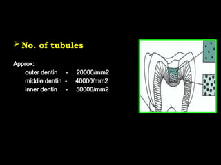 1. Dentin structure of toothtypes of dentin inter | PPTX