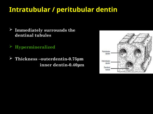 1. Dentin structure of toothtypes of dentin inter | PPT