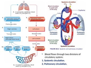 1. Introduction to cardiovascular...pptx