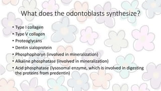 1. pulp structure, DENTAL PULP, PULP CHARACTHERISTICS | PPT