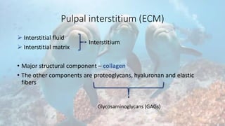 1. pulp structure, DENTAL PULP, PULP CHARACTHERISTICS | PPT