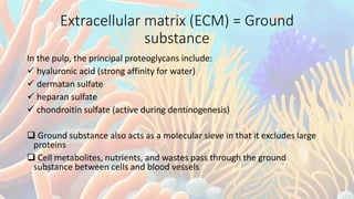 1. pulp structure, DENTAL PULP, PULP CHARACTHERISTICS | PPT