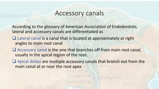 1. pulp structure, DENTAL PULP, PULP CHARACTHERISTICS | PPT