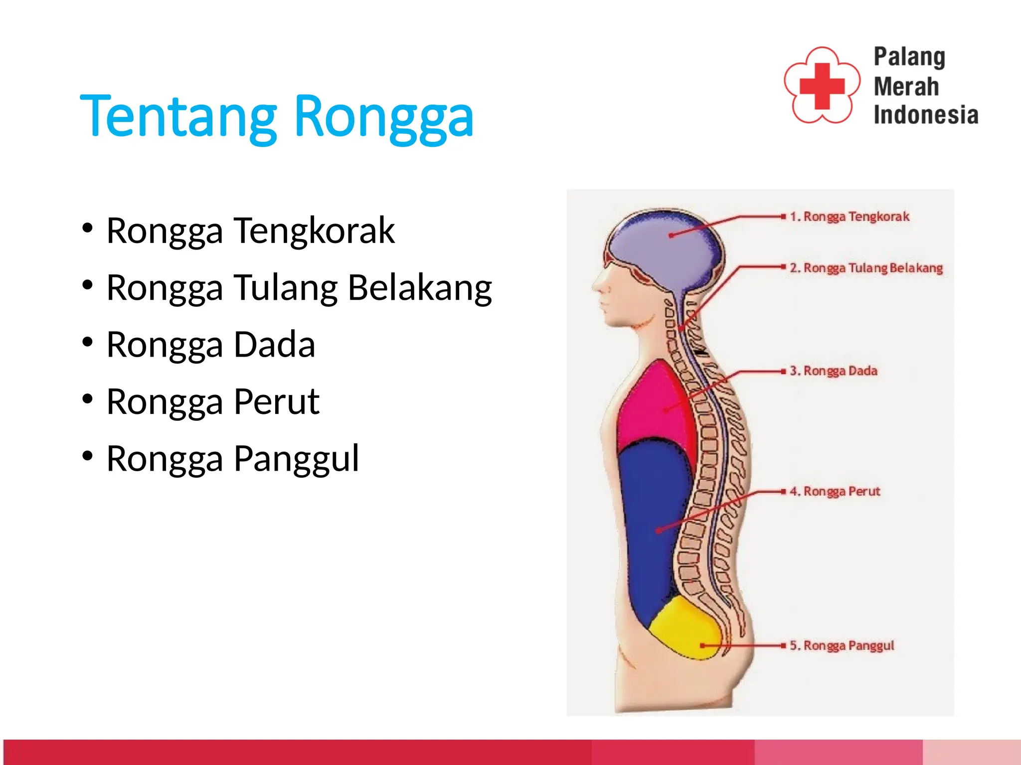 1. Materi Pertolongan Pertama Madya.pptx