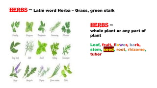 1. Herbs as a raw material [Autosaved].pptx