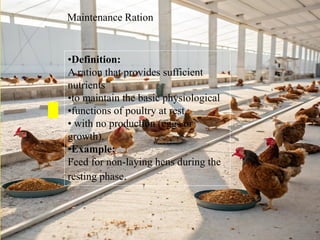 key nutrional terms in poultry farming.pdf