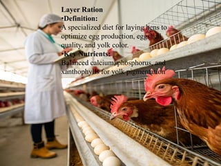 key nutrional terms in poultry farming.pdf