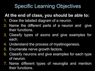 1. Neuron a Neuroglia.pptx mbbs year one | PPTX