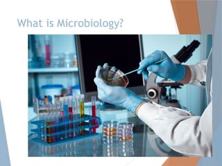 LECTURE ON INTRODUCTION MICROBIOLOGY.pptx