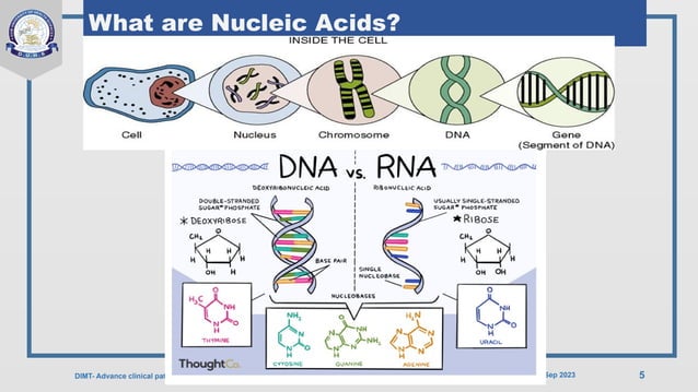 isolation of nucleic acid from cell.pptx