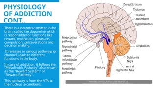 1.understanding addiction.pptx (any kind of addiction) | PPTX