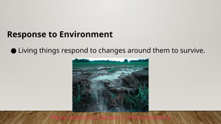 POwerpoint documents Lesson 1 in Physical Science | PPT